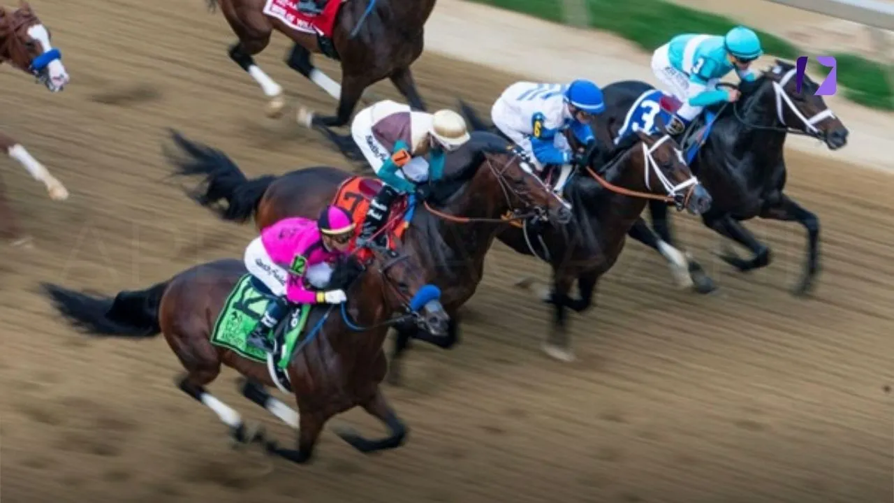 What Are Racing Odds? Complete Beginner’s Guide with Examples - APEX ...